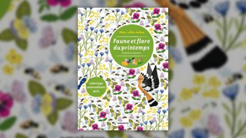 Clémentine Sourdais, Faune et Flore du printemps | Chouette, un livre
