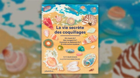 Helen Scales, La vie secrète des coquillages | Chouette, un livre